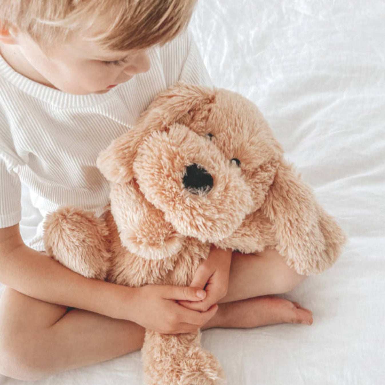 Charlie the Weighted Puppy Dog - Weighted Plush - Sensorystore.co.nz ...